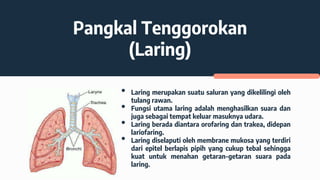 Anatomi dan Fisiologi Sistem Respirasi.pptx