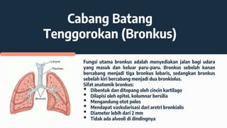 Anatomi dan Fisiologi Sistem Respirasi.pptx