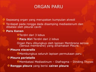 anatomi dan fisiologi sistem respirasi.ppt