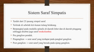 ANATOMI DAN FISIOLOGI.pptxhwihihfwihiwhiwhtiwhti | PPT | Free Download
