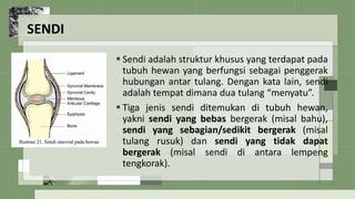 Anatomi dan Fisiologi Ternak Sistem Gerak.pptx