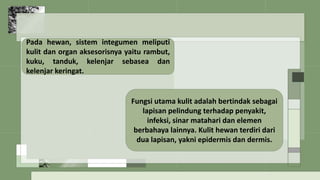 Anatomi dan Fisiologi Ternak Sistem Gerak.pptx