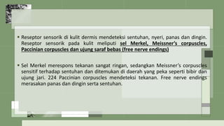 Anatomi dan Fisiologi Ternak Sistem Gerak.pptx