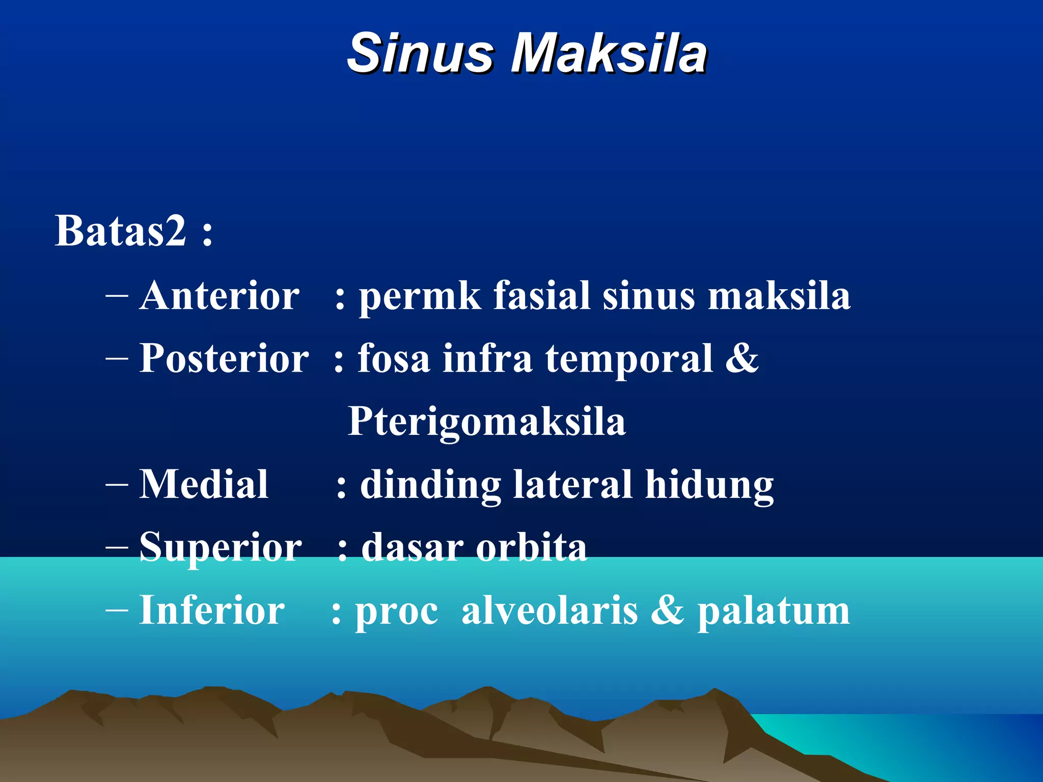 Anatomi dan fisiologi tht kl | PPT