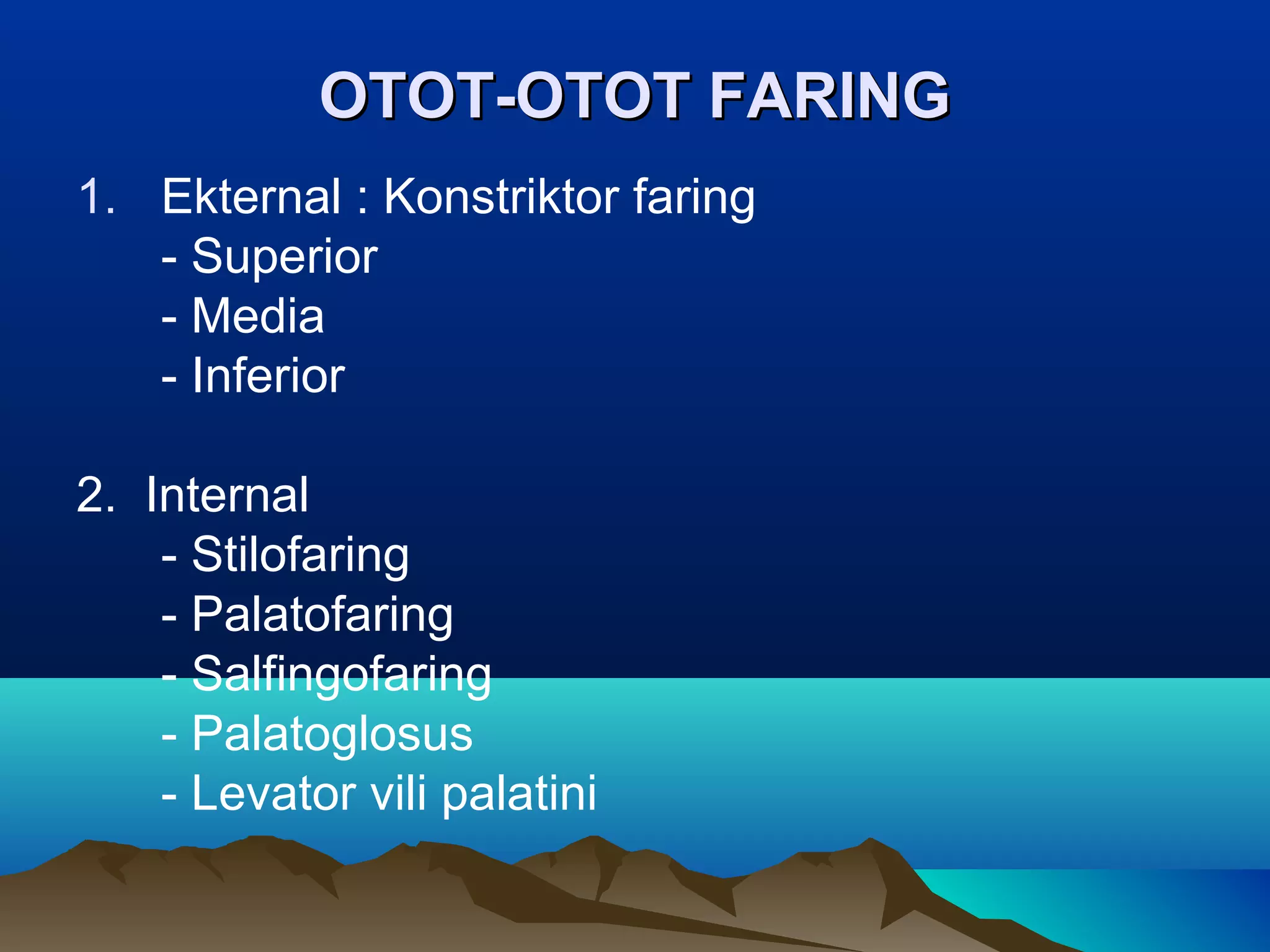 Anatomi dan fisiologi tht kl | PPT