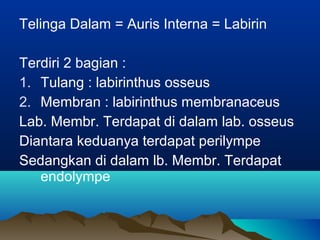 Anatomi dan fisiologi tht kl | PPT