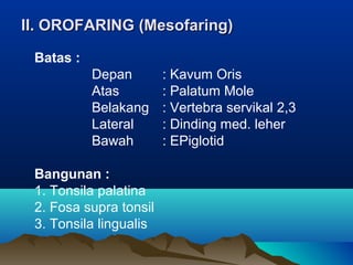 Anatomi dan fisiologi tht kl | PPT