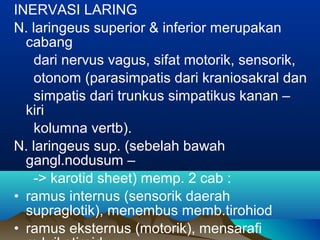 Anatomi dan fisiologi tht kl | PPT