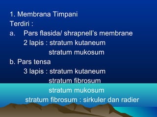 Anatomi dan fisiologi tht kl | PPT