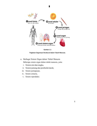 buku ajar Anatomi dan Fisiologi Tubuh Manusia | PDF