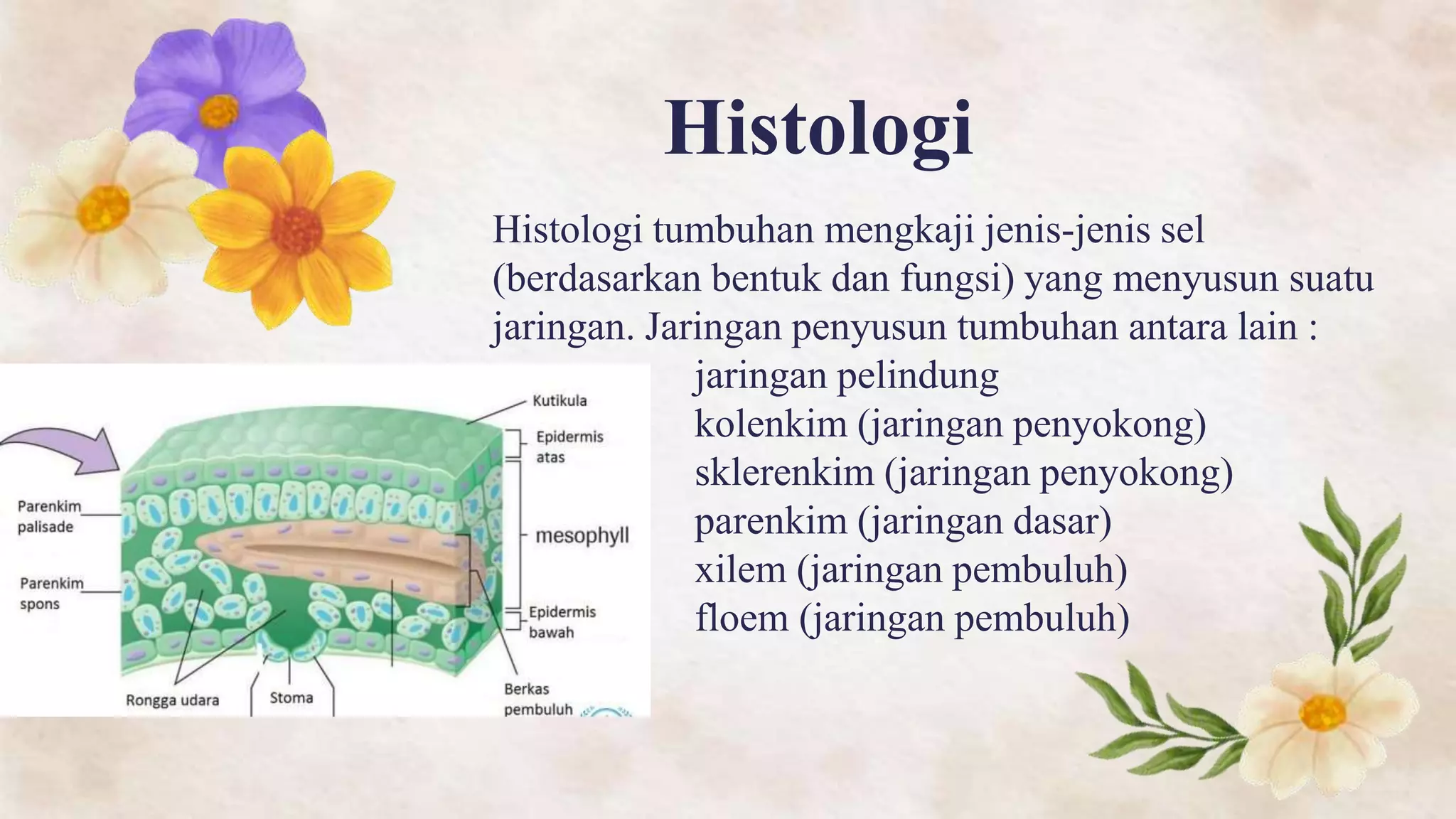 Anatomi dan Fisiologi Tumbuhan.pptx