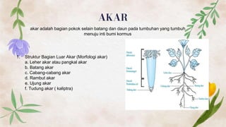 Anatomi dan Fisiologi Tumbuhan.pptx
