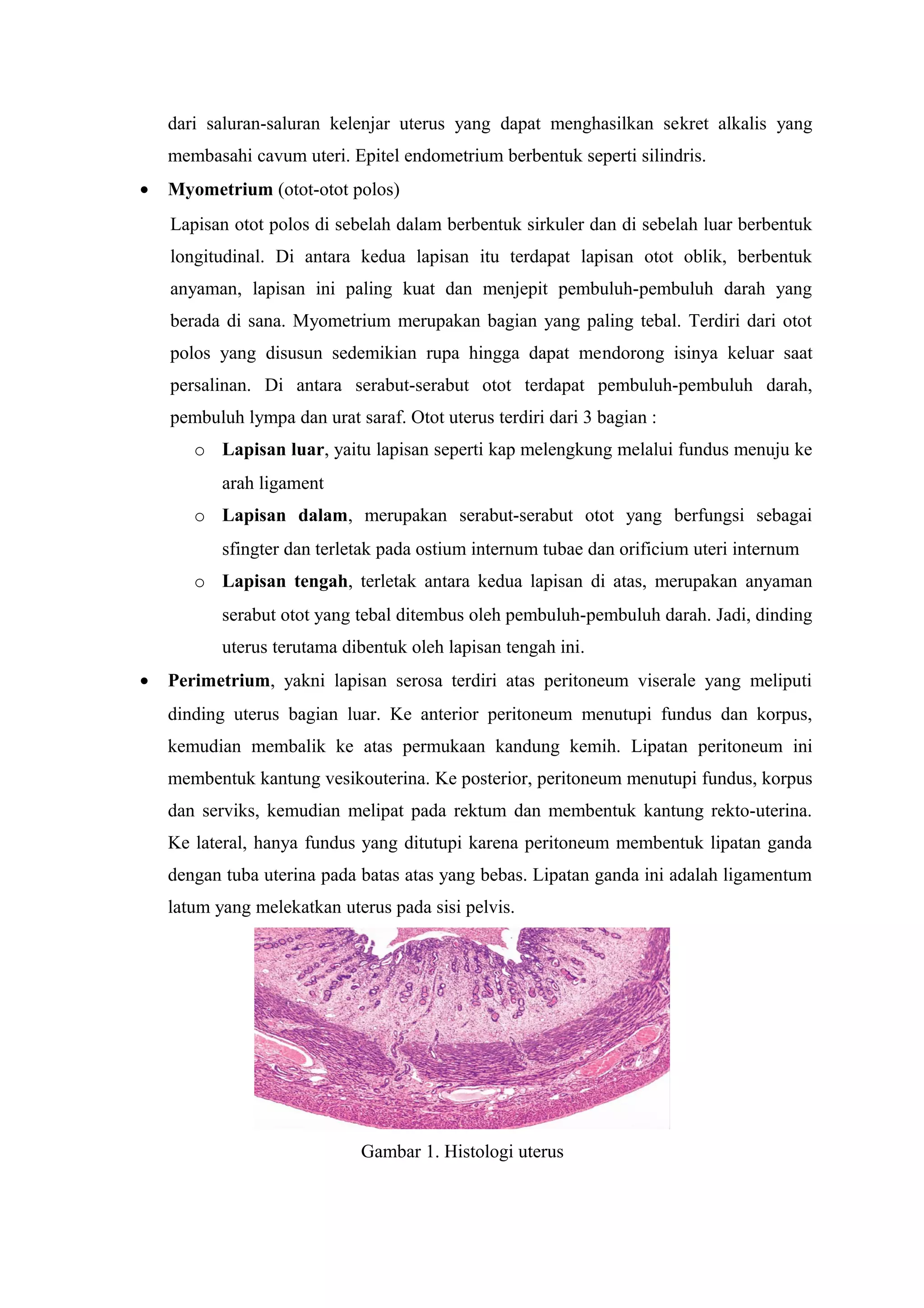 Anatomi dan fisiologi uteri | DOC