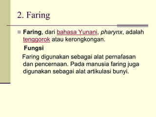 anatomi dan fungsi sitem pencernaan manusia | PPT