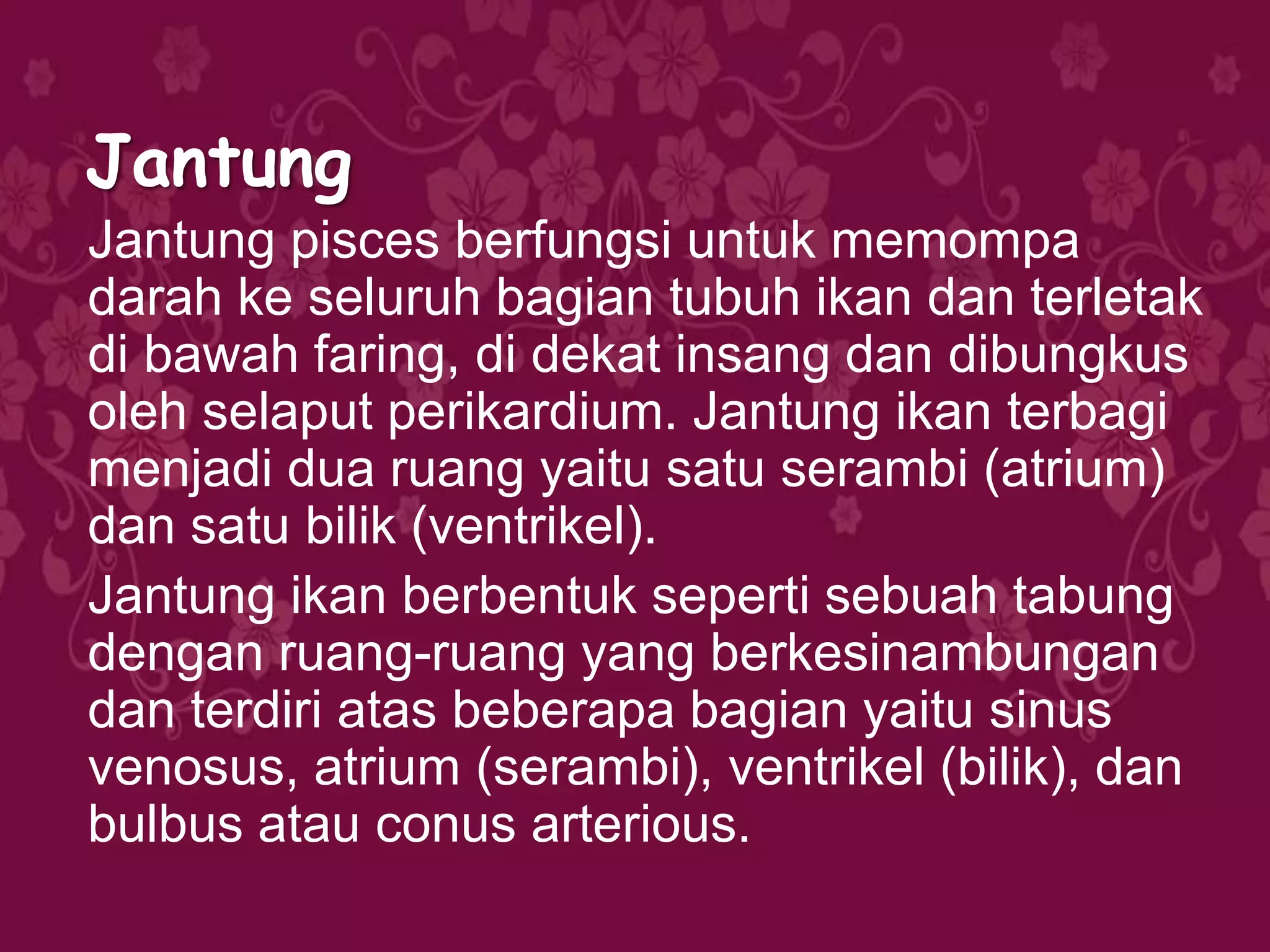 Anatomi dan Histologi Sistem Peredaran Darah Pisces | PPTX