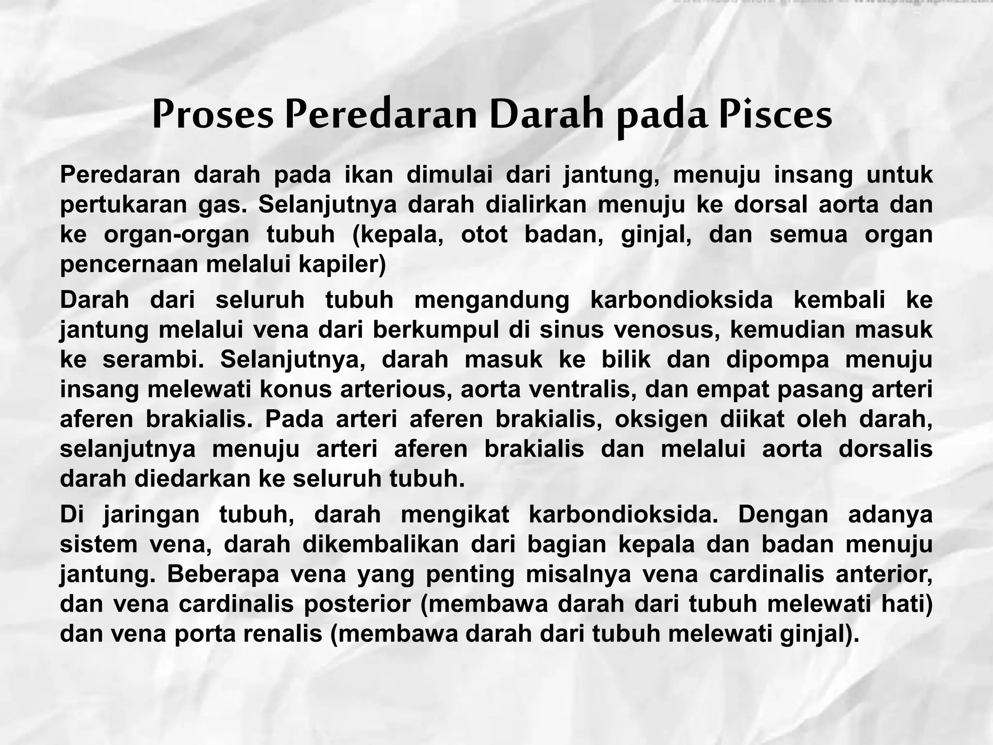 Anatomi dan Histologi Sistem Peredaran Darah Pisces | PPTX