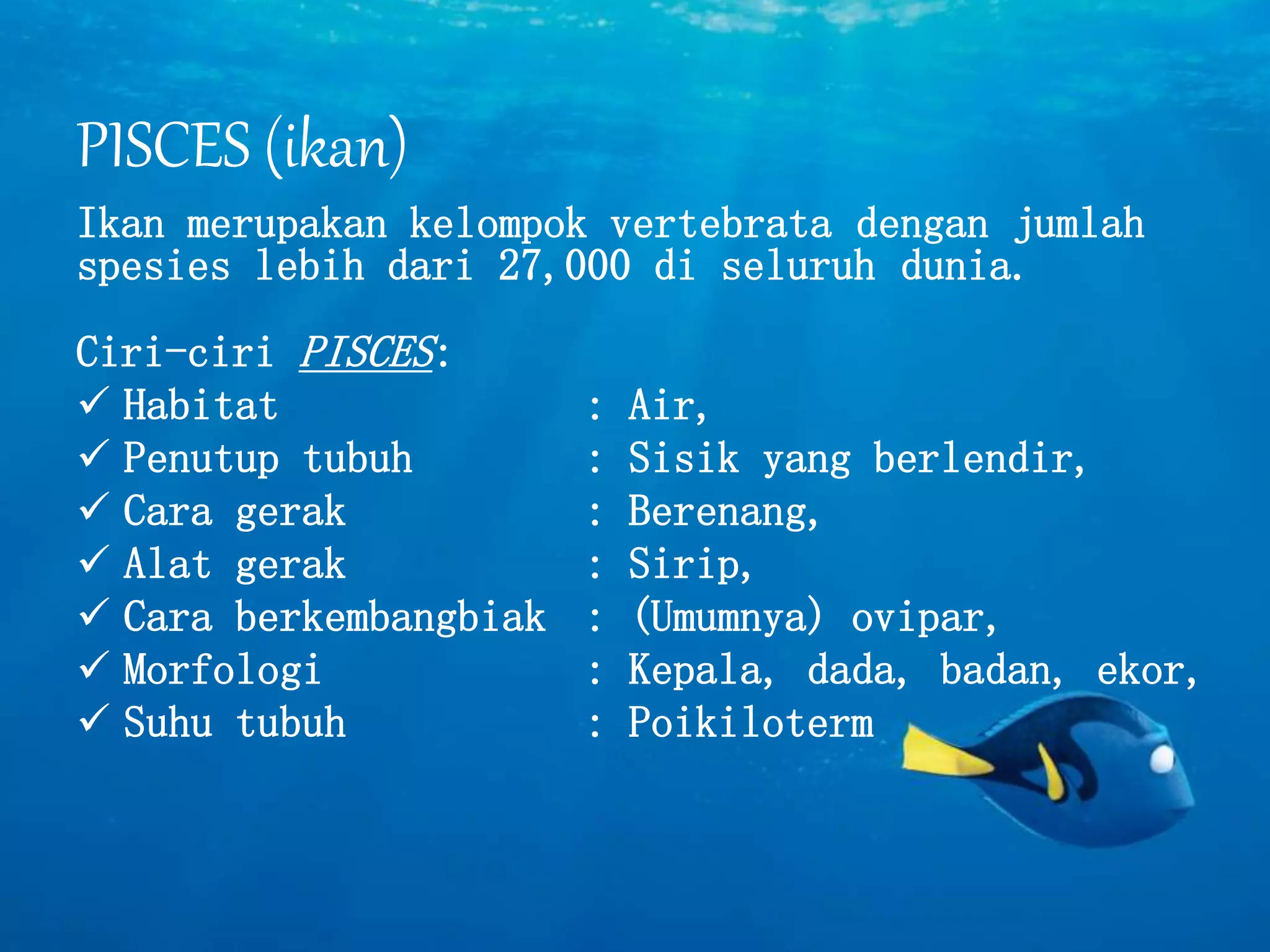 Anatomi dan Histologi Sistem Peredaran Darah Pisces | PPTX