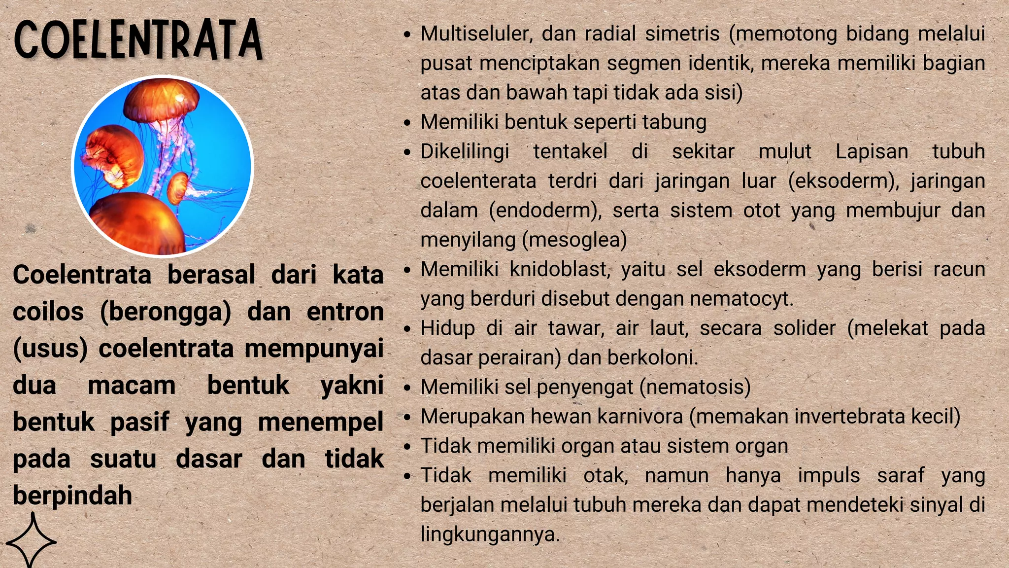 ANATOMI DAN MORFOLOGI HEWAN.pdf