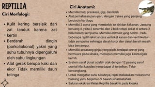 ANATOMI DAN MORFOLOGI HEWAN.pdf