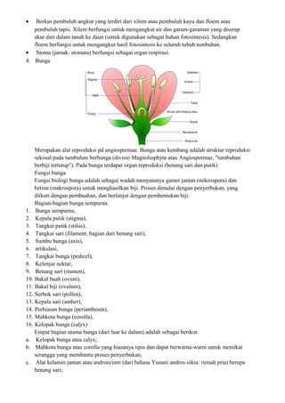 Anatomi dan morfologi tumbuhan | DOC
