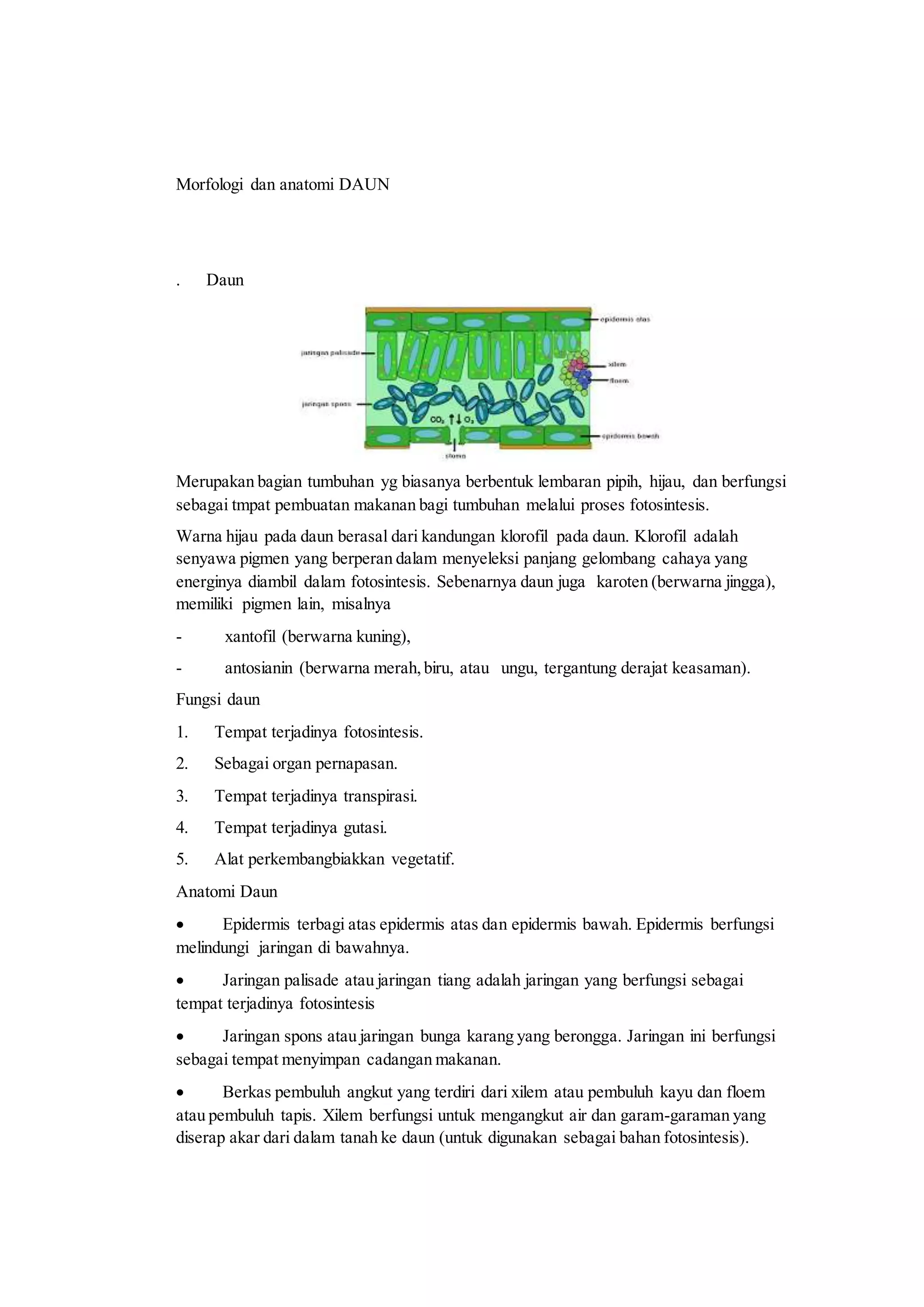Anatomi dan morfologi tumbuhan | DOCX