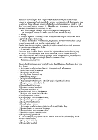 Anatomi dan morfologi tumbuhan | DOCX