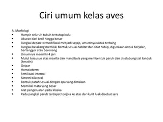 ANATOMI DAN MORFOLOGI VERTE.pptx