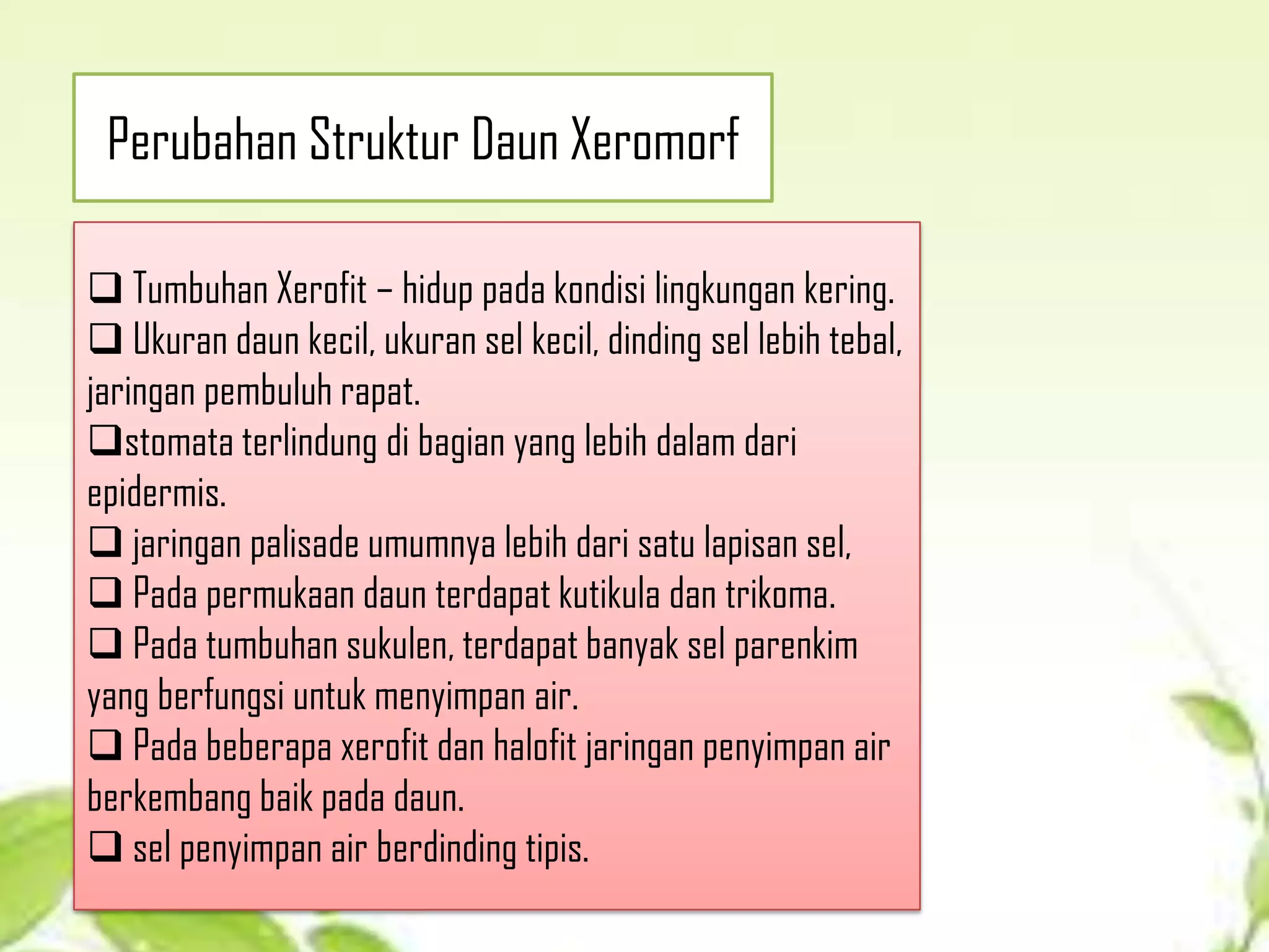 Anatomi daun | PPTX