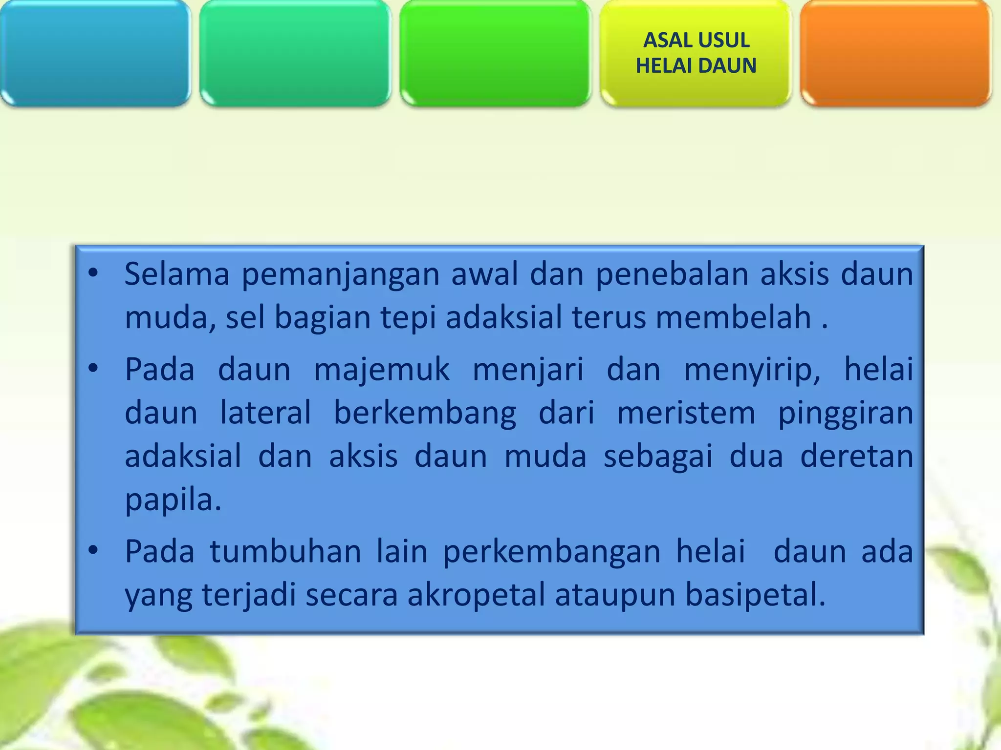 Anatomi daun | PPTX
