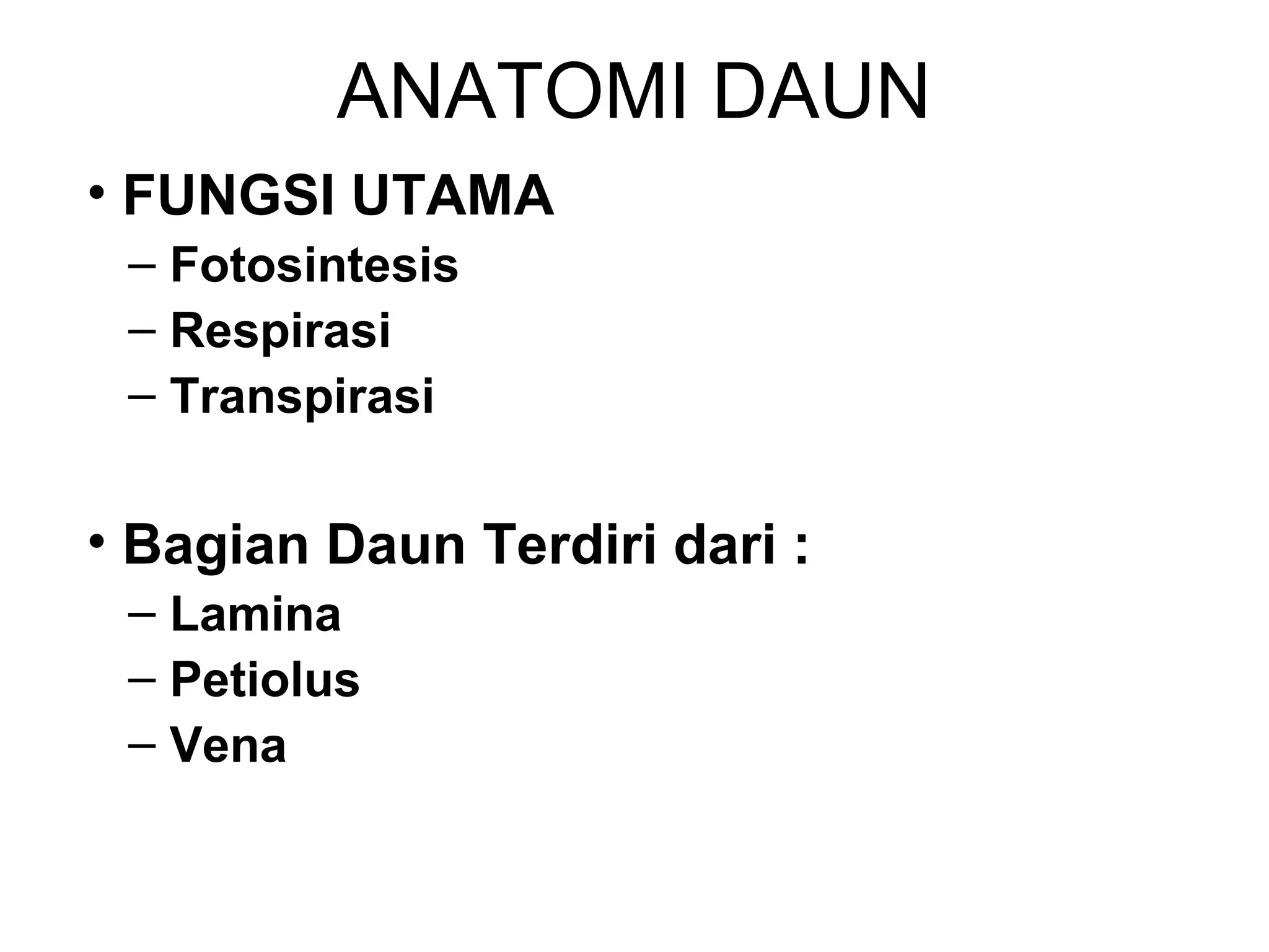 Anatomi daun | PPT