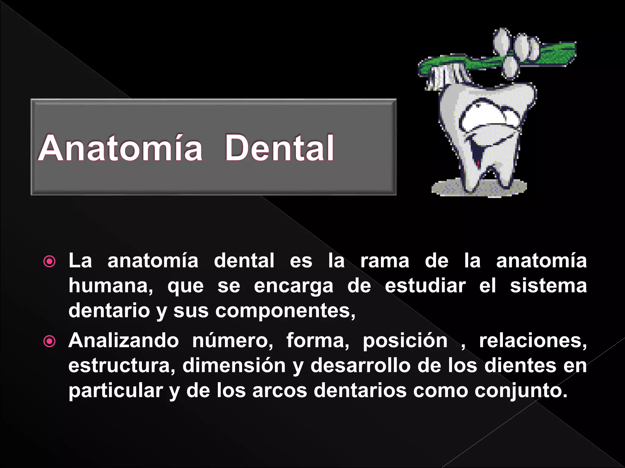 ANATOMIA DENTAL | PPTX