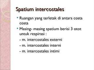 Anatomi Dinding Toraks dan Hubungannya dengan Sistem Pernapasan | PPT
