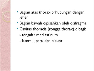 Anatomi Dinding Toraks dan Hubungannya dengan Sistem Pernapasan | PPT