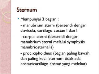 Anatomi Dinding Toraks dan Hubungannya dengan Sistem Pernapasan | PPT