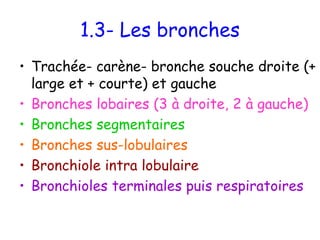 ANATOMIE-PHYSIOLOGIE DE L’APPAREIL RESPIRATOIRE.ppt