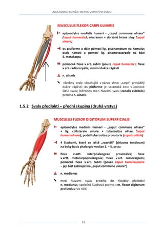 Anatomie 3.lf