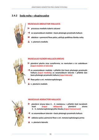 Anatomie 3.lf