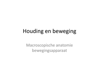 Anatomie | PPTX