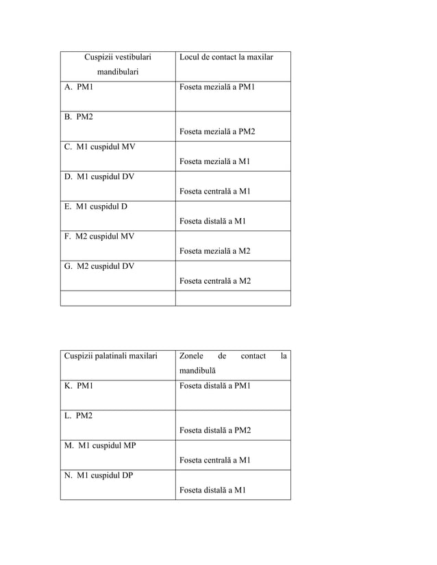 Anatomie adm | PDF