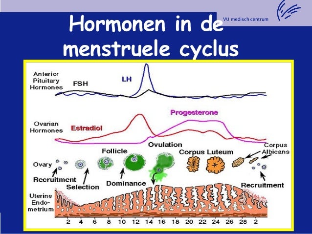 Anatomie en fysiologie