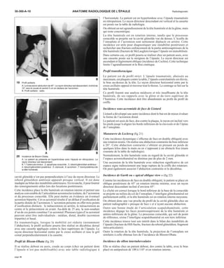 Anatomie radiologique de l'épaule | PDF