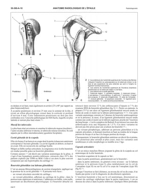 Anatomie radiologique de l'épaule | PDF