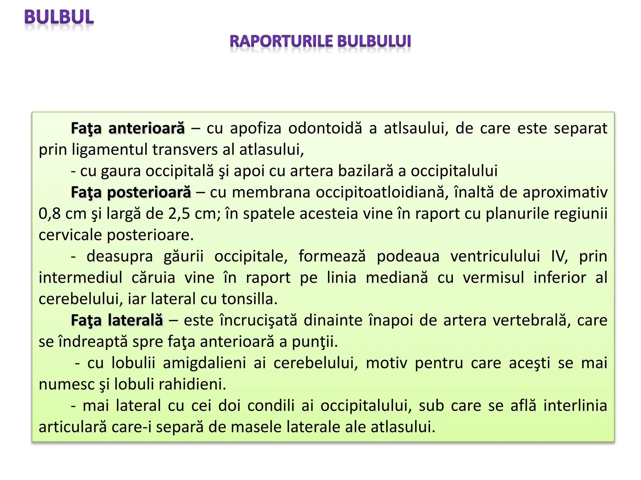 ANATOMIE SNC LP 3 Trunchiul cerebral.ppt