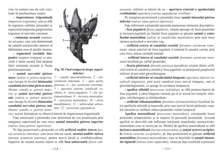 Anatomie vol1 | PDF