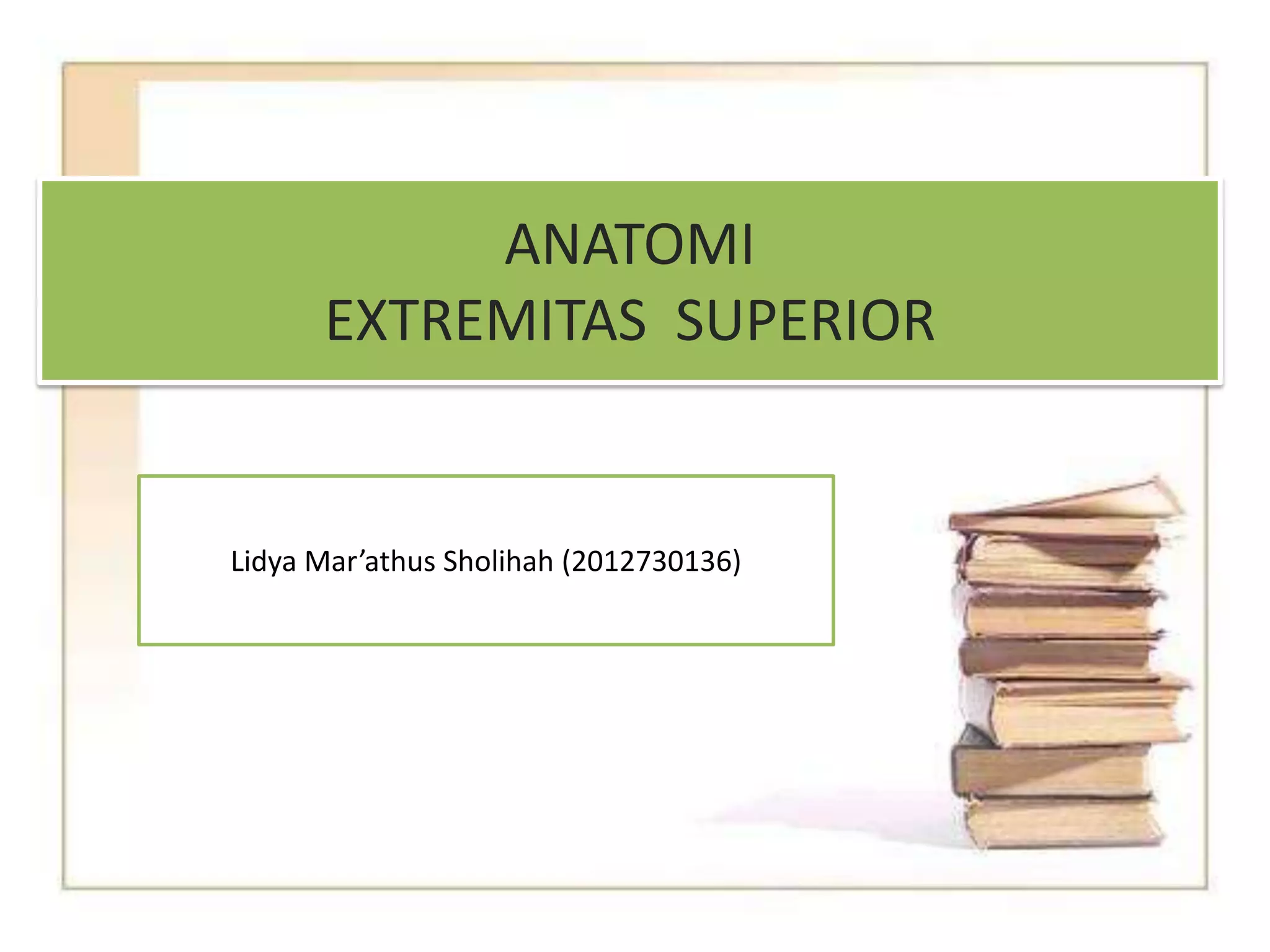 Anatomi extremitas superior ayya | PPTX