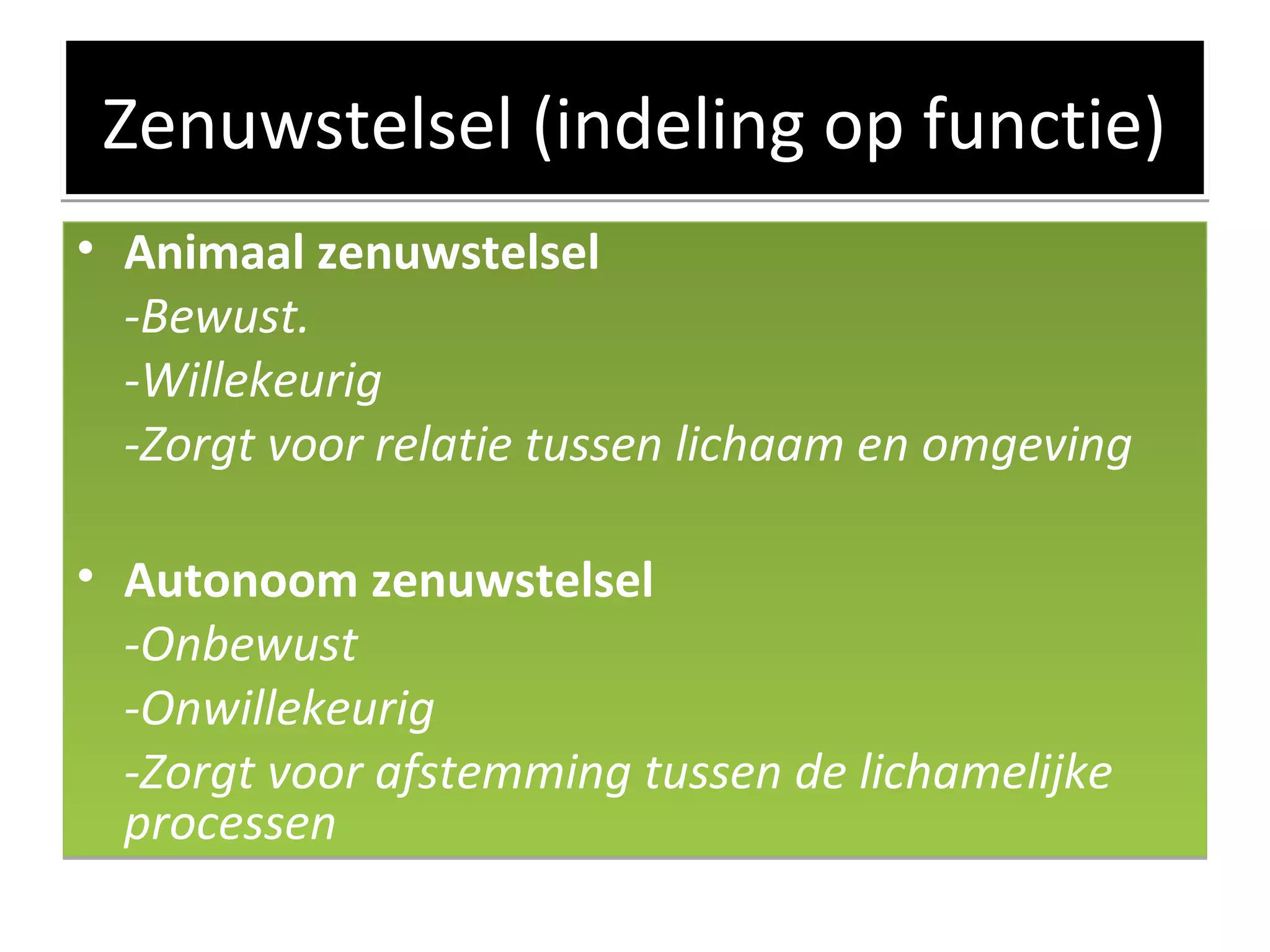 Anatomie Zenuwstelsel | PPT