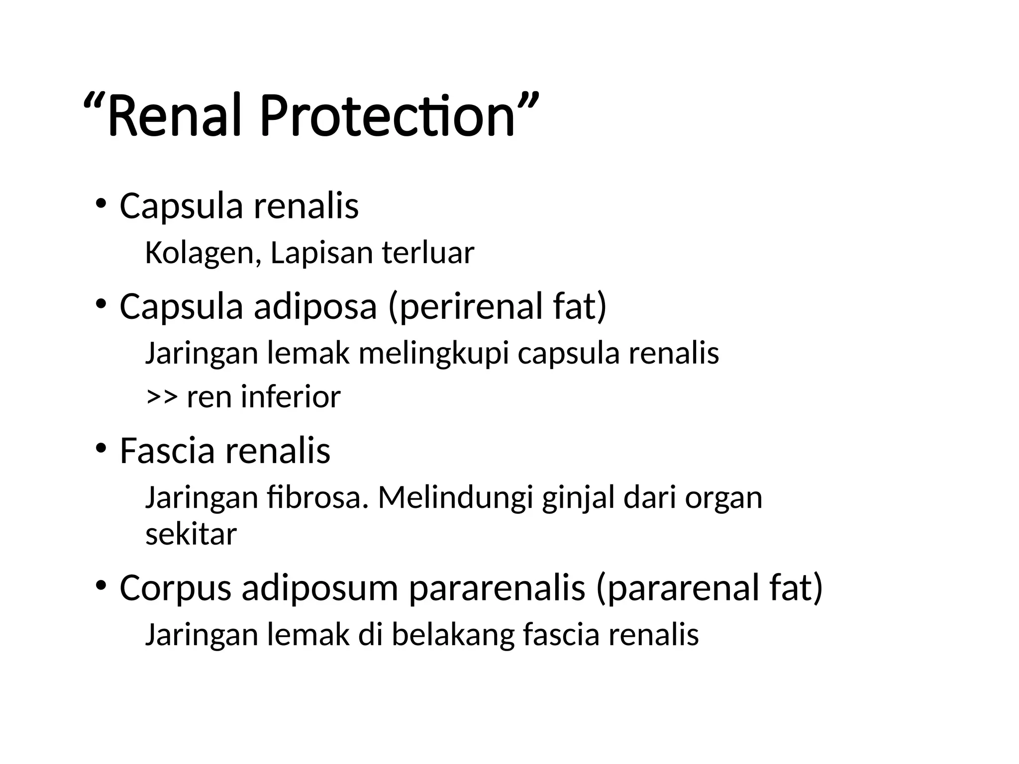 Anatomi Fisilogi Ginjal pada manusia.pptx