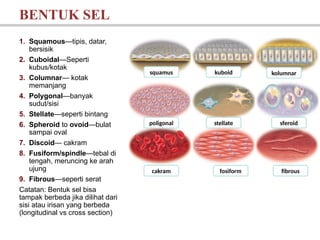 ANATOMI FISIOLOGI-1 PENGANTAR.pptx........ | PPTX