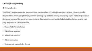 ANATOMI FISIOLOGI.pptx