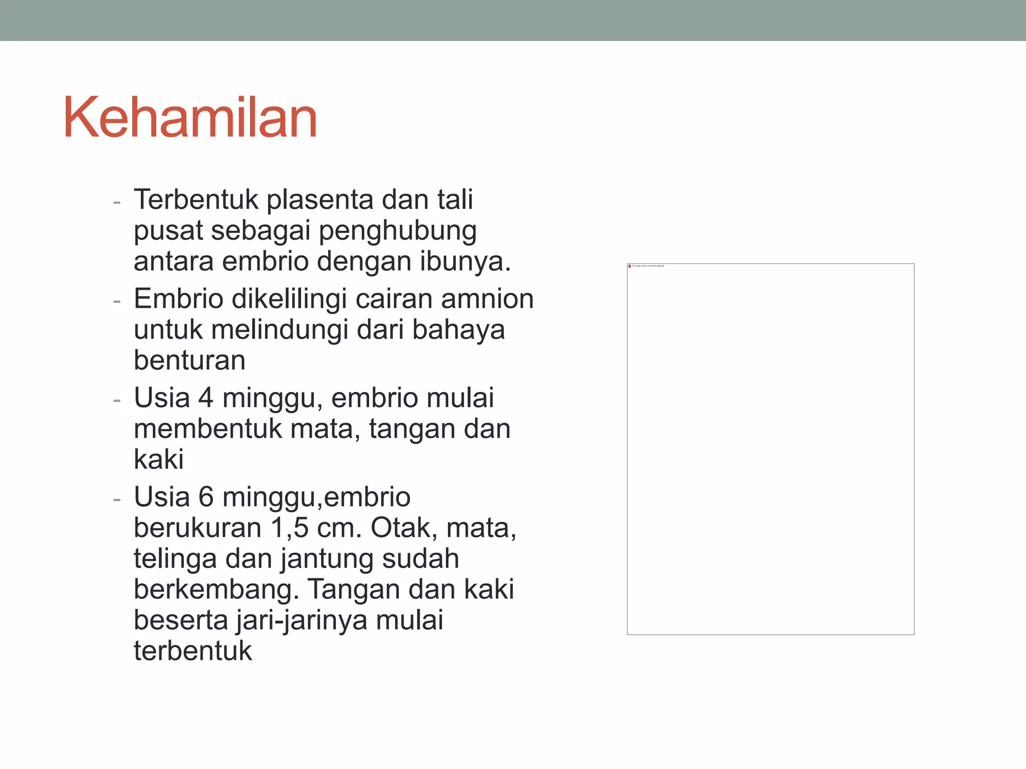 Anatomi fisiologi.pptx